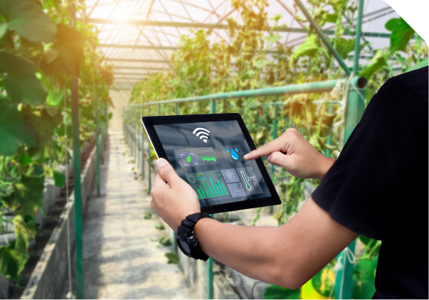 Cellular IoT for Smart Agriculture Solutions | EMnify