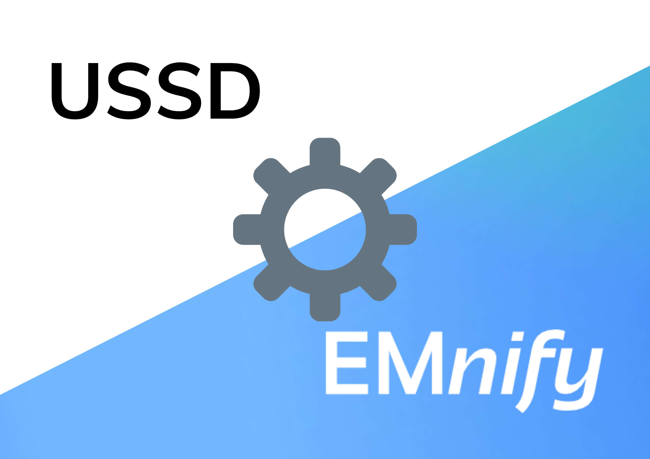 What Is USSD? | IoT Glossary